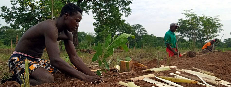 Contemplating Catastrophe – EVERY ANGEL IS TERRIFYING