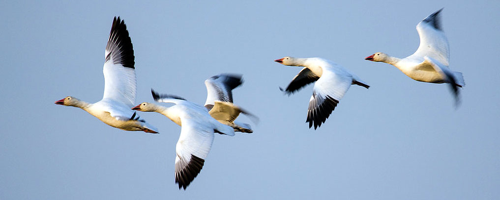 Dust In Our Eyes – EVERY ANGEL IS TERRIFYING